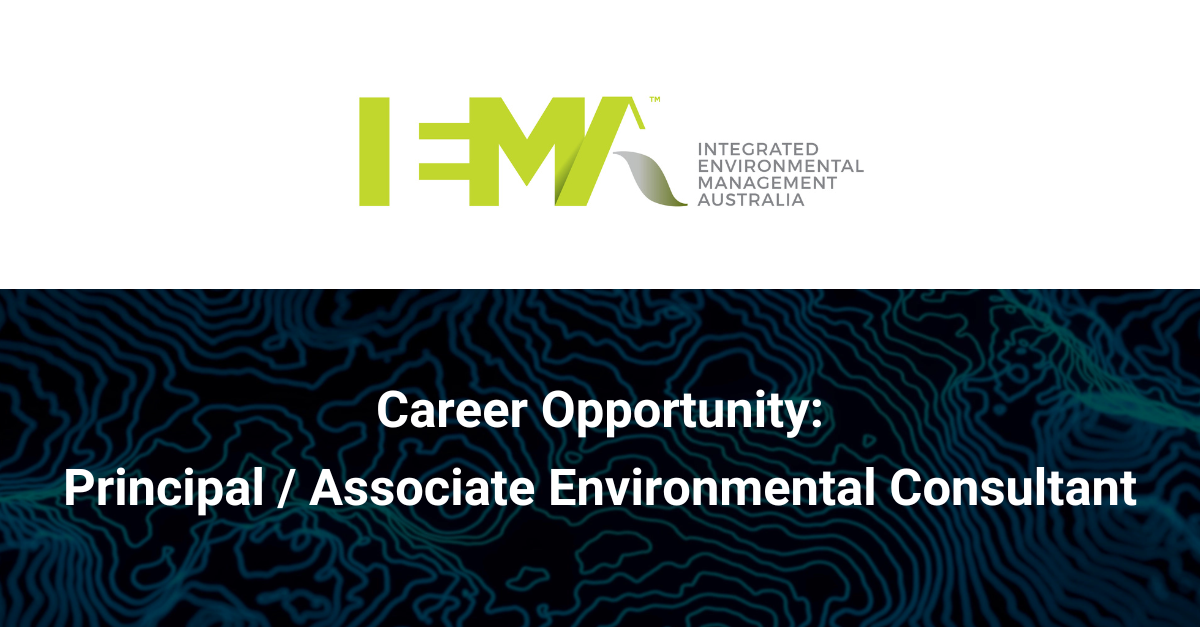 Career Opportunity: Associate and Senior Level Project Consultants ...
